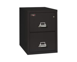 Top 5 Fireproof and Waterproof File Cabinets